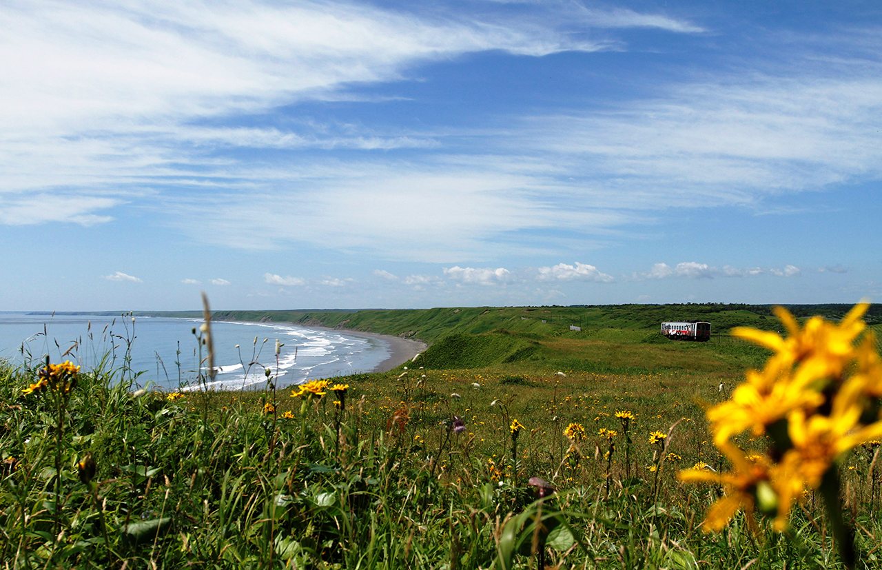 HANASAKI LINE | NEMURO