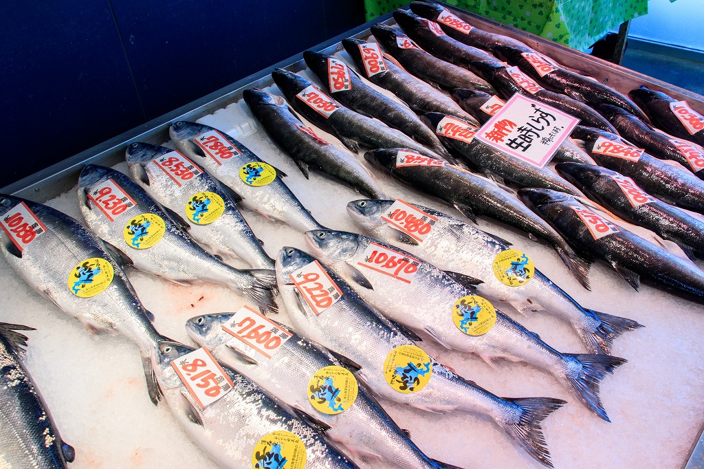 Shige-katsu (Fresh Fish Shop) | NEMURO